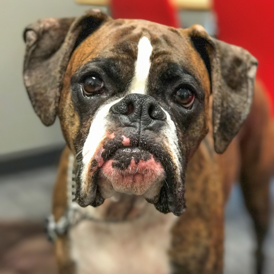 Softchoice Careers: Are you ready to unleash your potential?